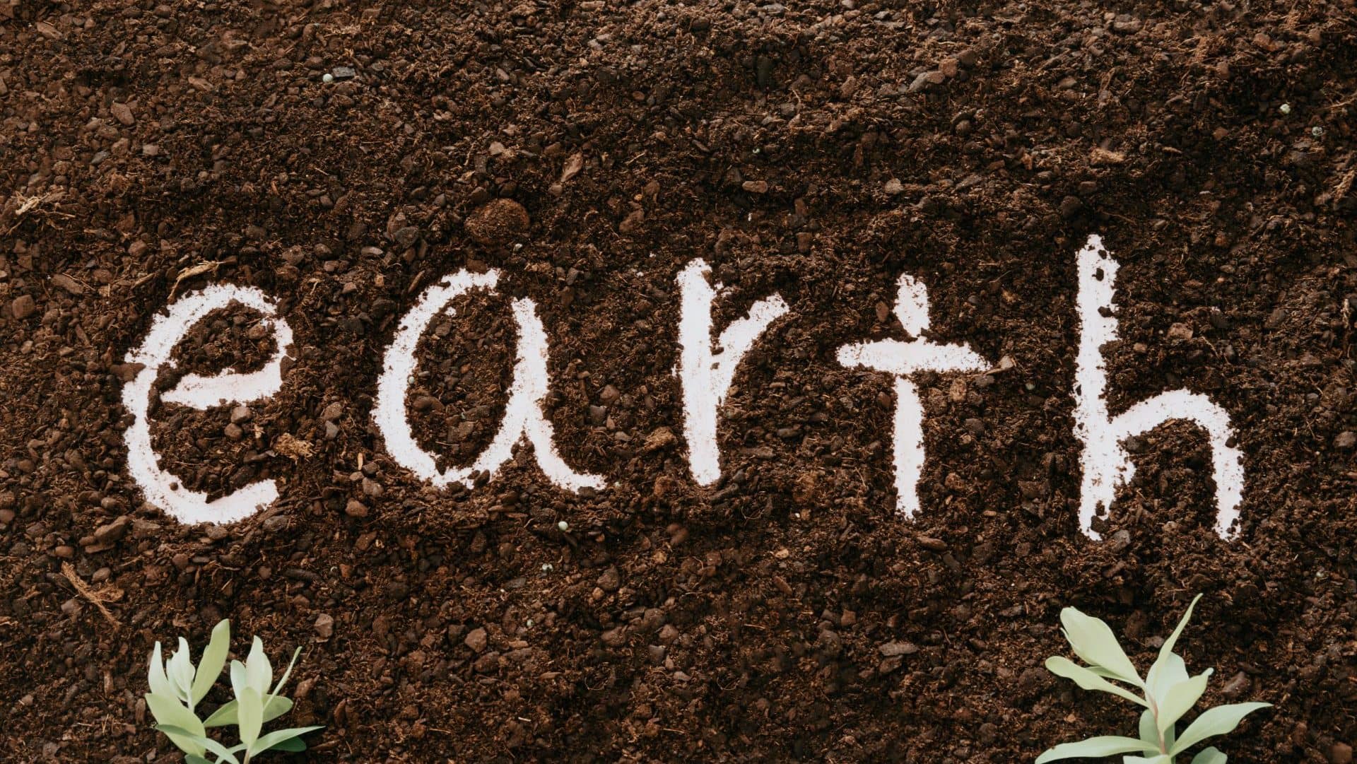 Improve Your Packaging Sustainability this Earth Day - The Packline Co.
